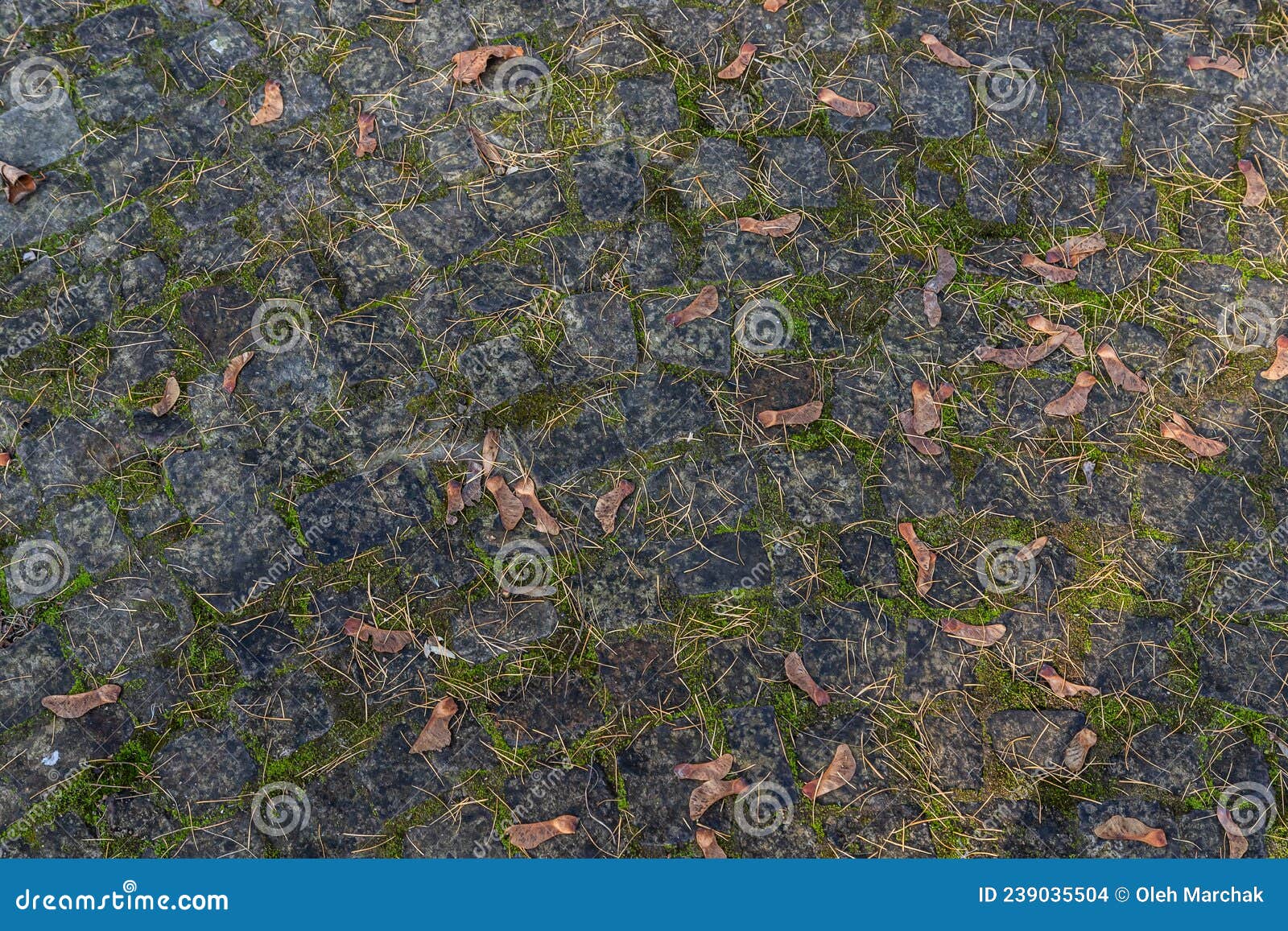 Overhead View of Cobblestone Street Texture with Grass. Stone Pavement ...