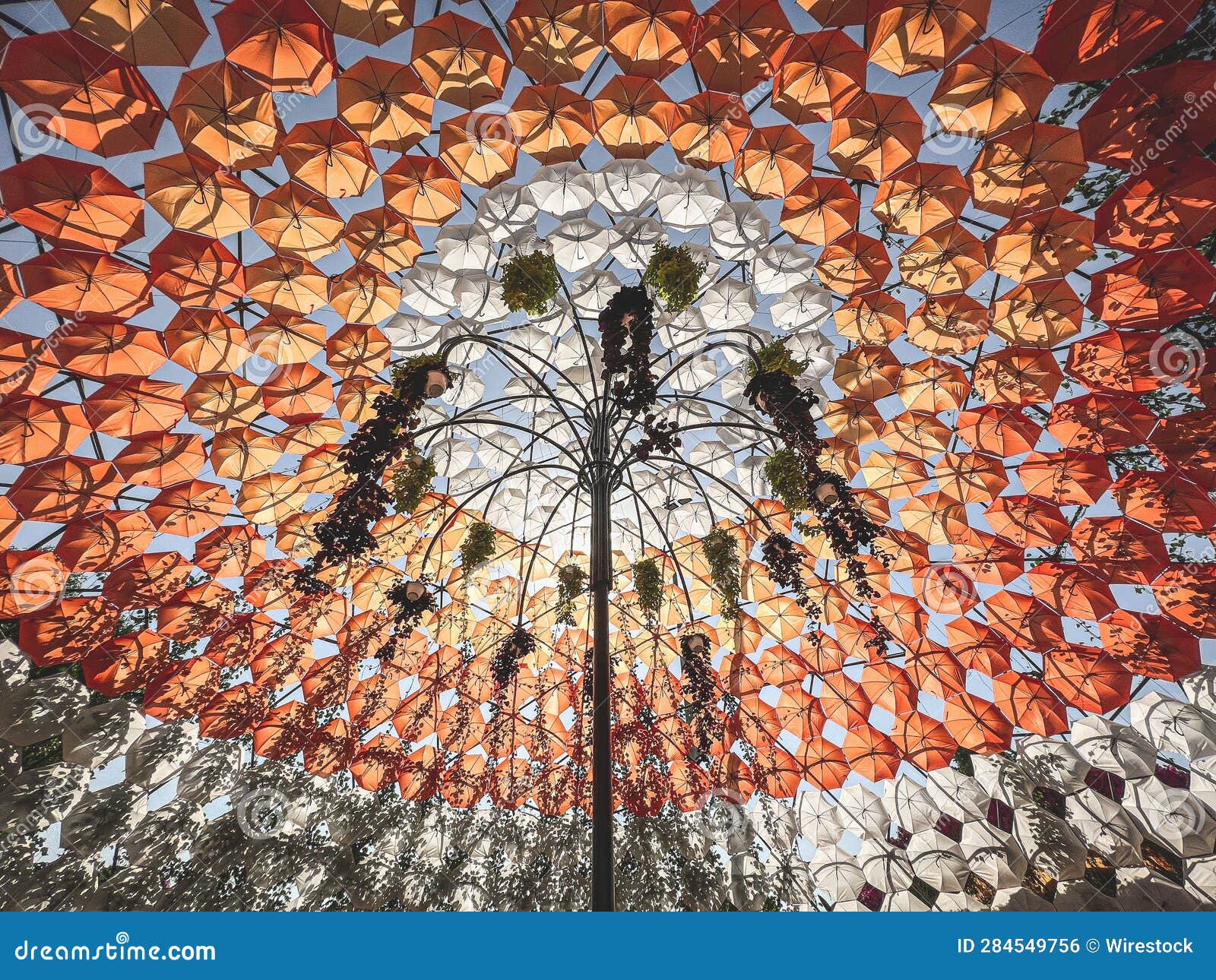 A View Looking Up at the Inside of an Umbrella Canopy Stock Photo ...