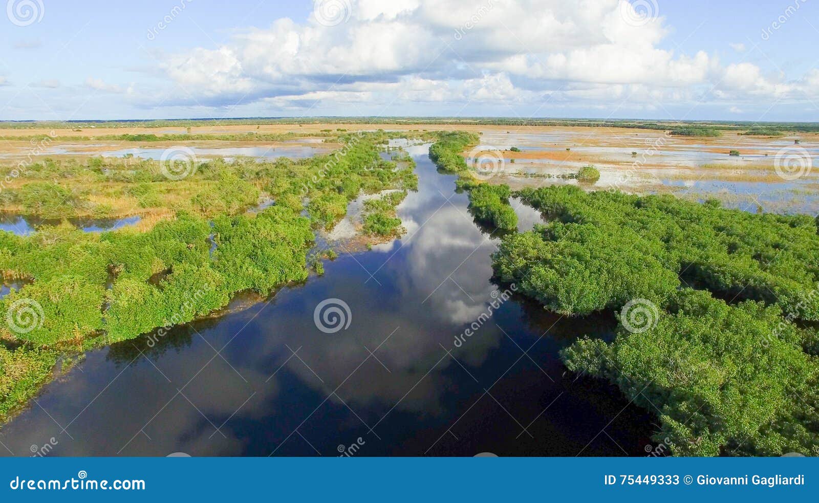 Overhead View of Everglades Swamp, Florida - USA Stock Image - Image of ...