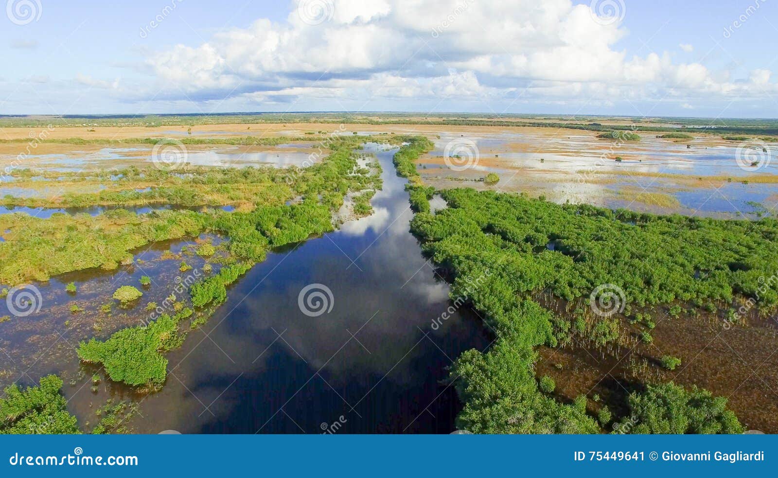 Overhead View of Everglades Swamp, Florida - USA Stock Image - Image of ...