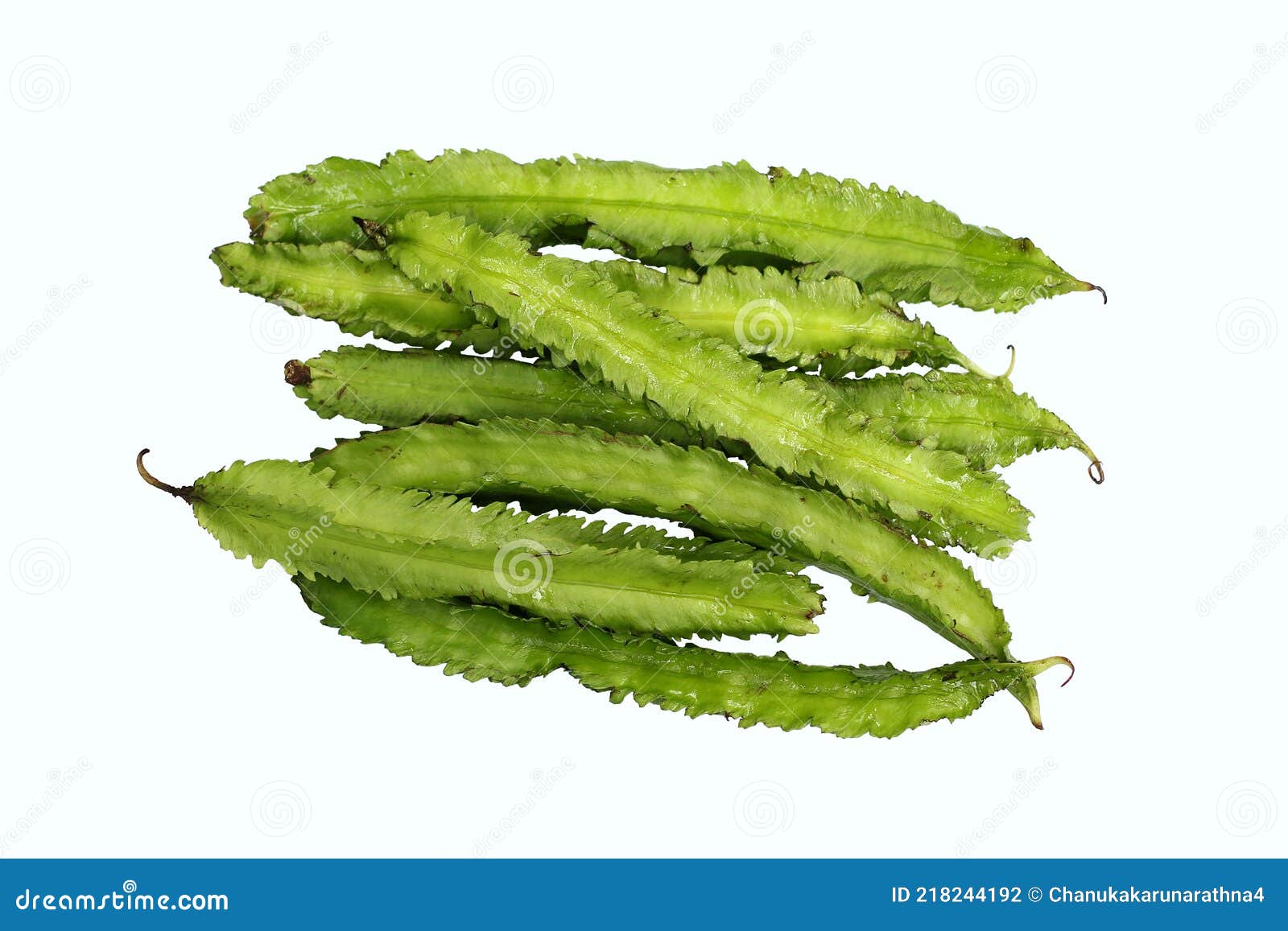 Beans Of A Winged Bean, Psophocarpus Tetragonolobus Royalty-Free Stock ...