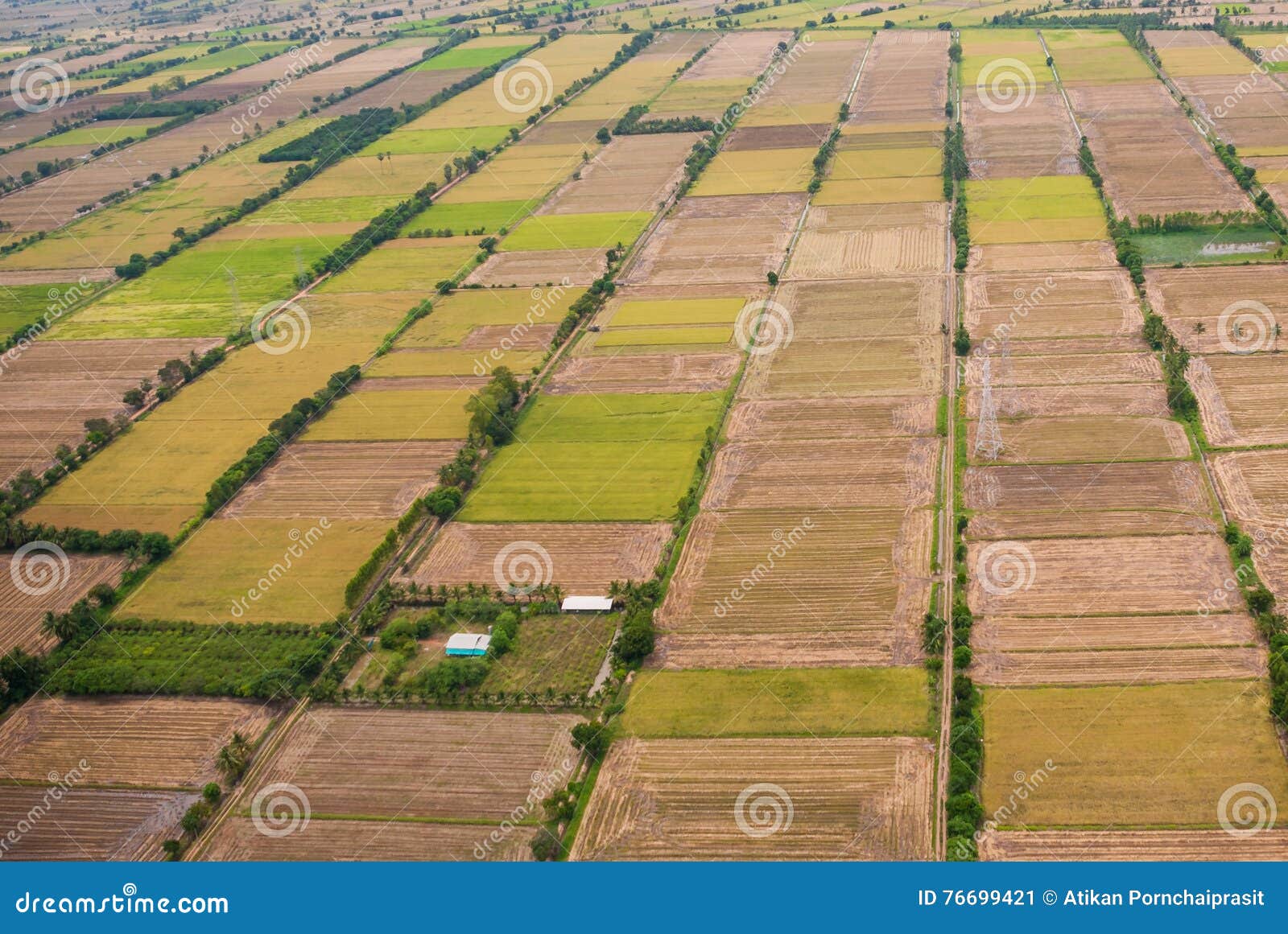 Overhead view of the field stock image. Image of food - 76699421