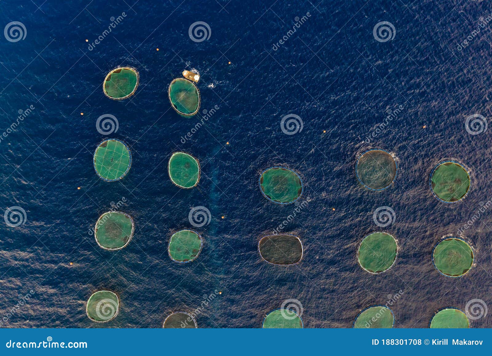 Overhead View of Fish Farms on the Sea Stock Photo - Image of farming ...