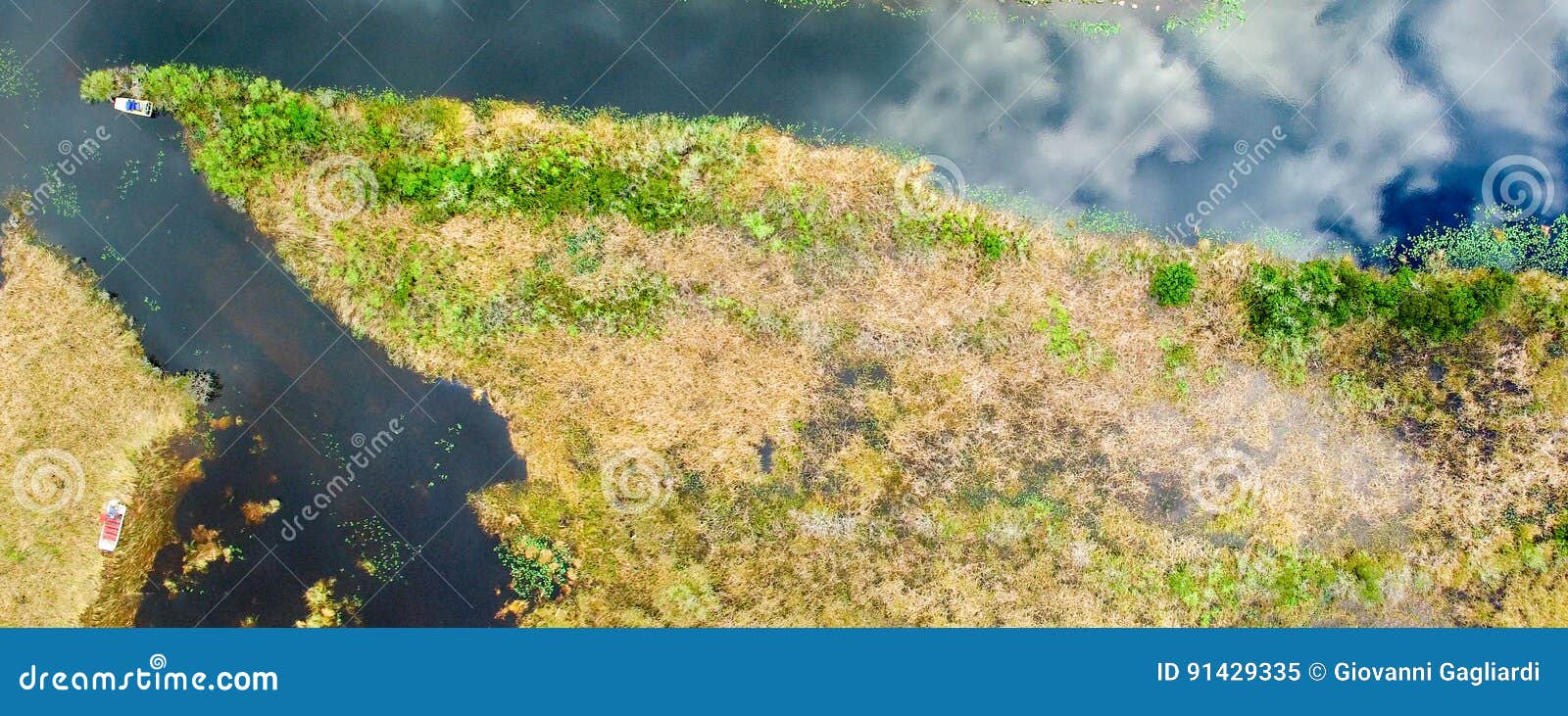 Overhead View of Florida Everglades Swamp - USA Stock Image - Image of ...