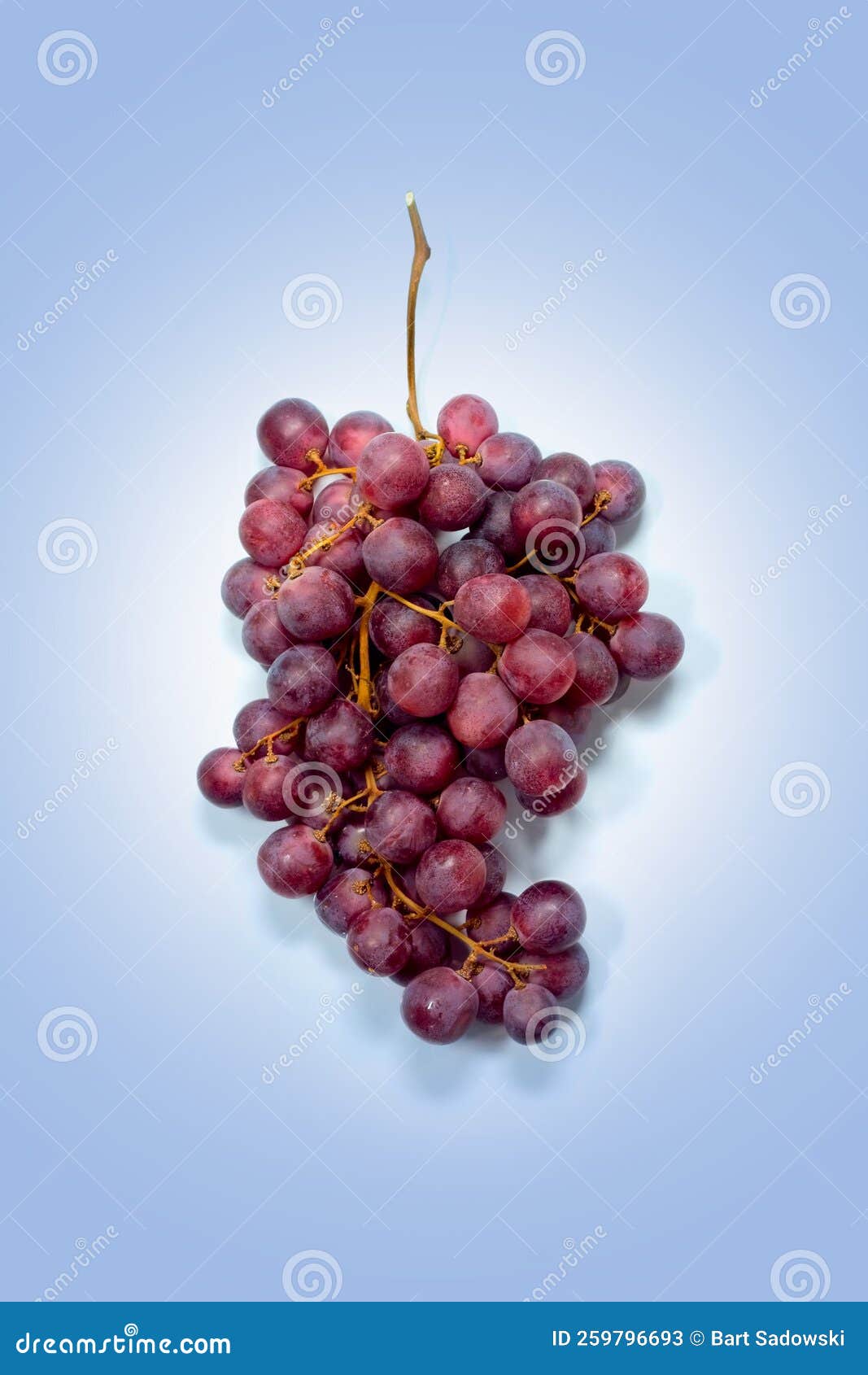 Overhead View of Fresh Red Grapes Bunch Stock Image - Image of winery ...