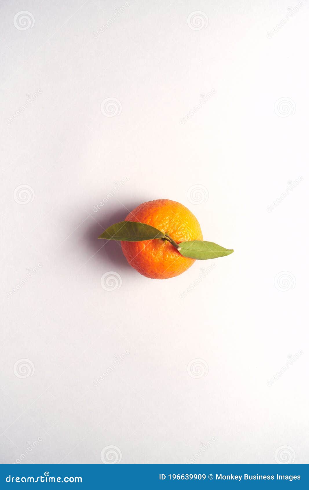 Overhead View of Fresh Satsuma with Leaf on White Background Stock ...