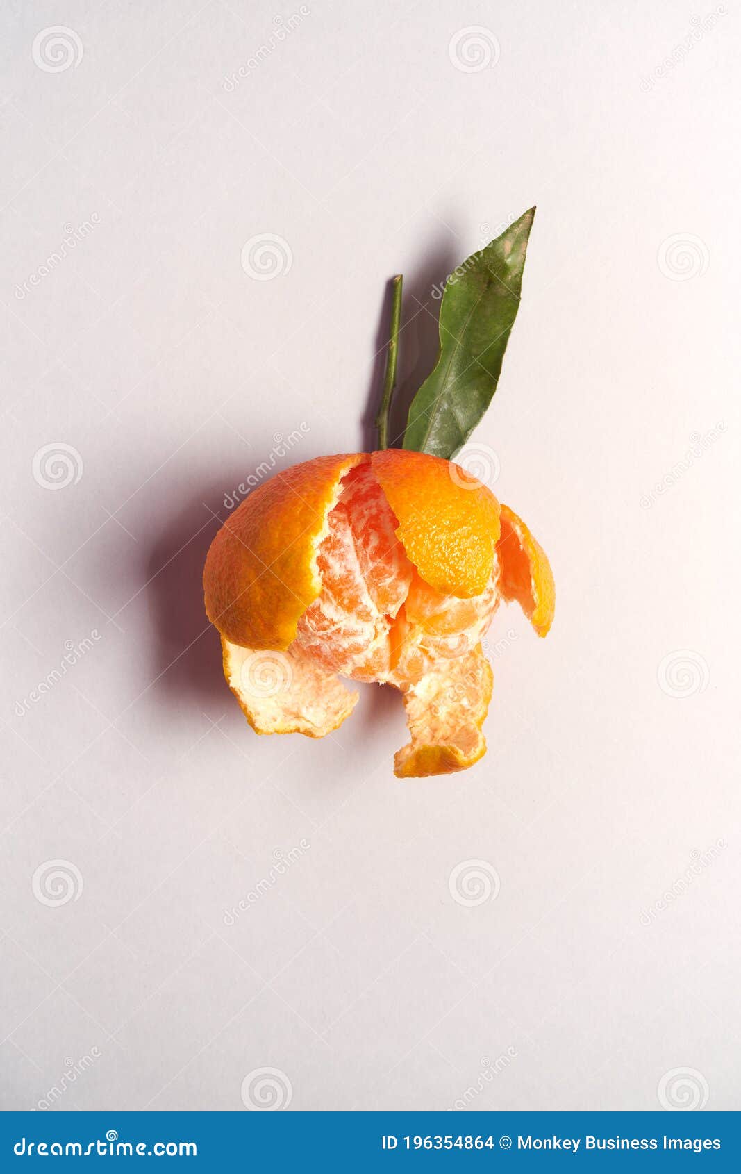 Overhead View of Freshly Peeled Satsuma with Leaf on White Background ...