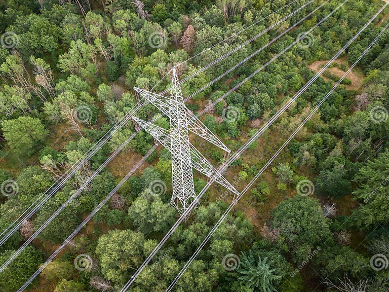 An Overhead View of High Voltage Power Lines, with Trees in the ...