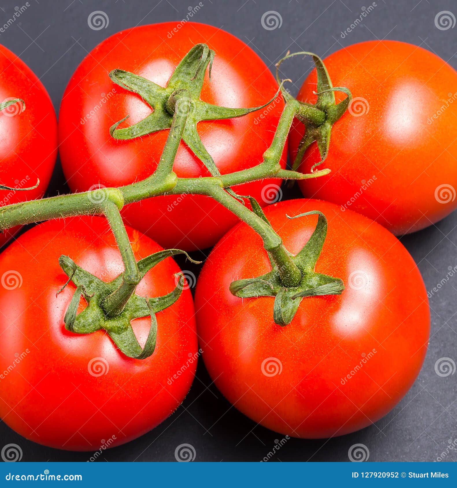 Overhead View of Juicy Red Vine Tomatoes on a Table Stock Photo - Image ...