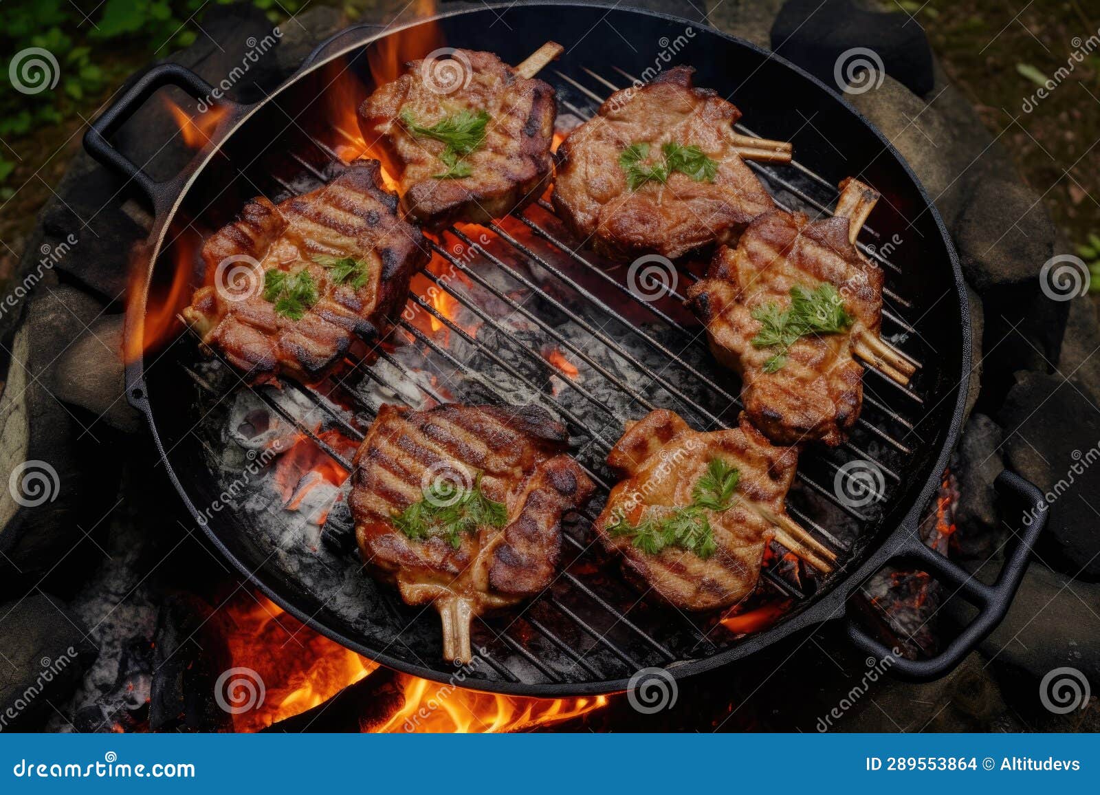 Overhead View of Lamb Chops Sizzling on a Campfire Grill Stock ...
