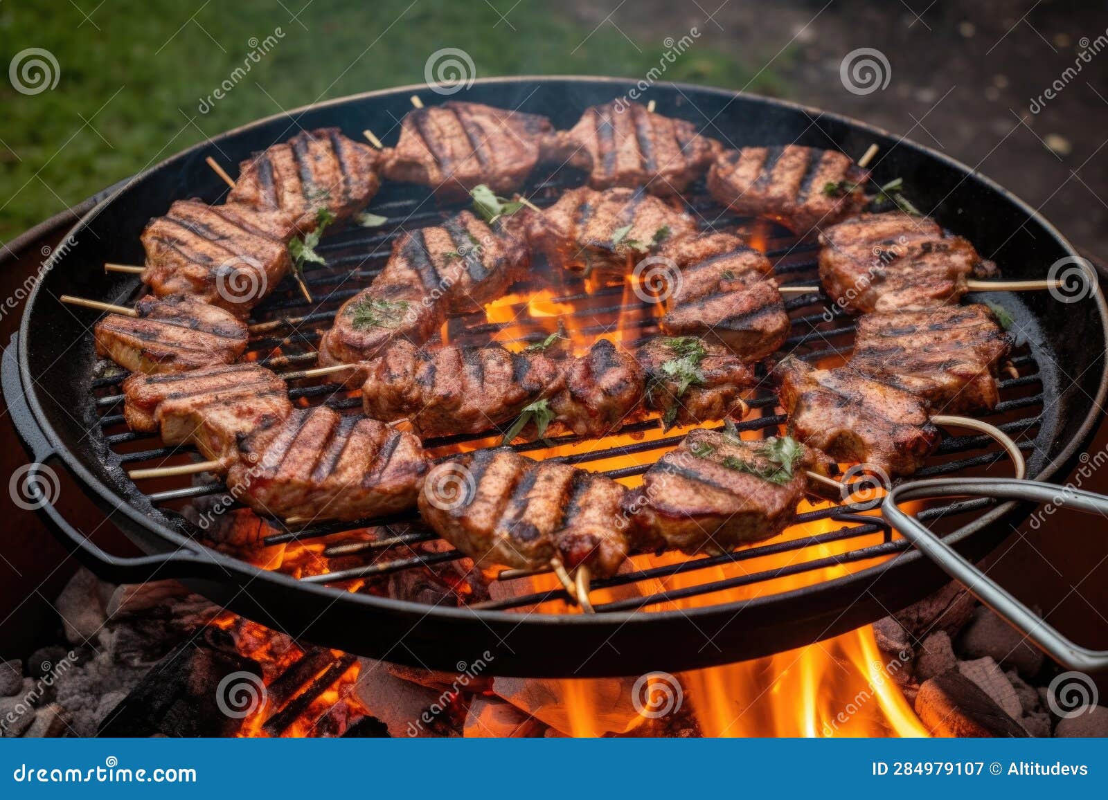 Overhead View of Lamb Chops Sizzling on a Campfire Grill Stock ...