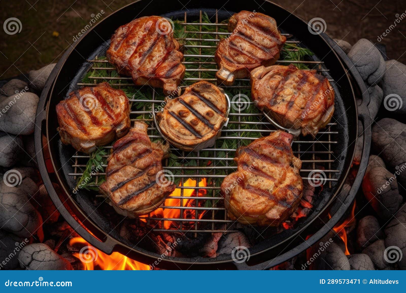Overhead View of Lamb Chops Sizzling on a Campfire Grill Stock Image ...