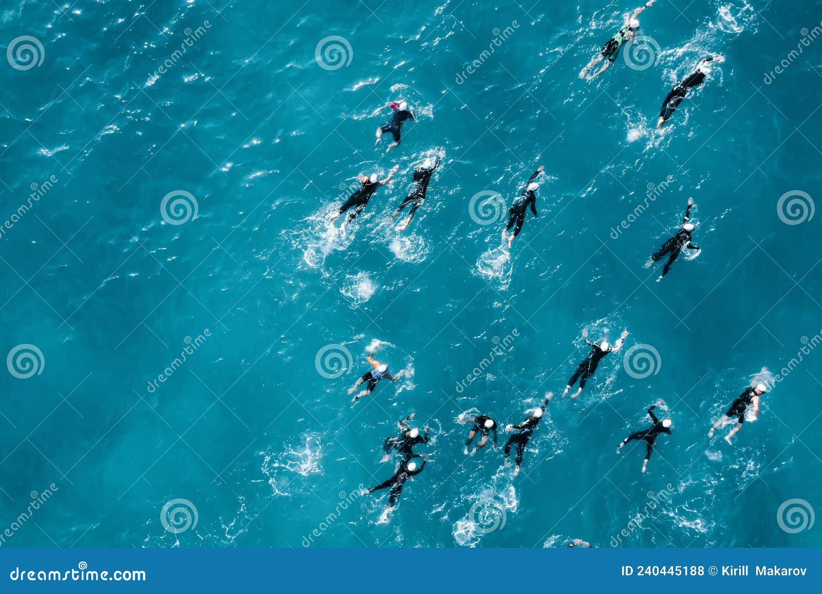 Overhead View of Marathon Swimmers during Competition Stock Photo ...