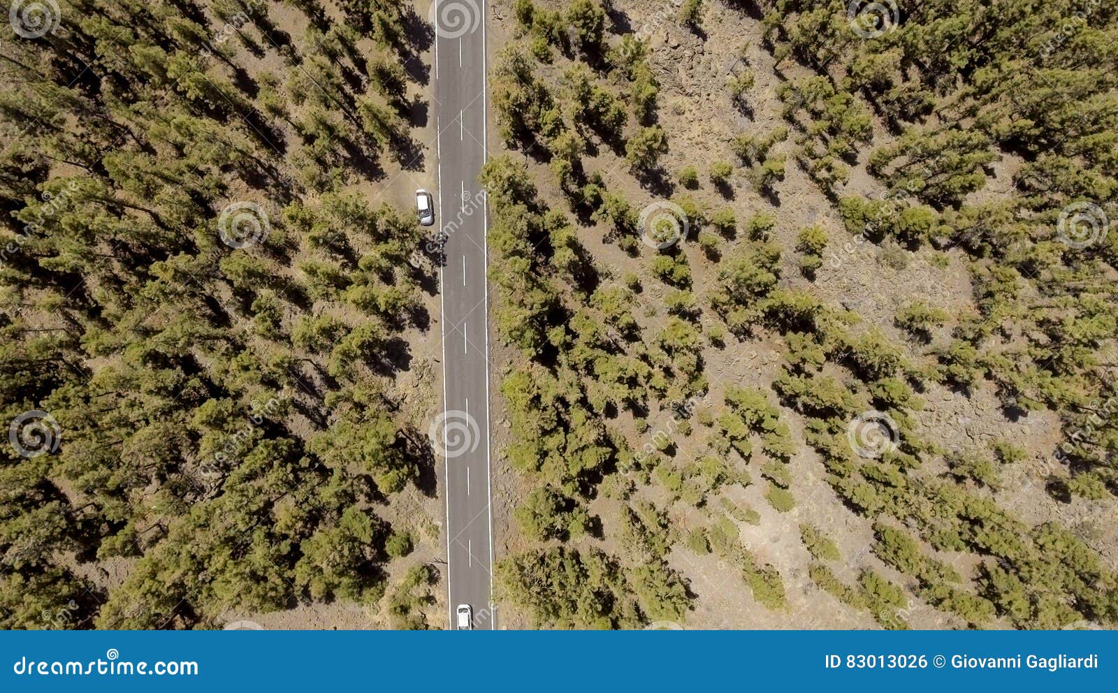 Overhead View of Mountain Road through Trees Stock Photo - Image of ...