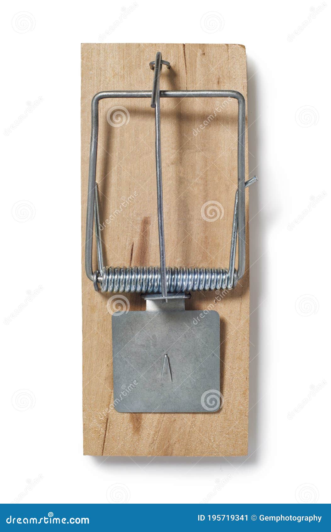 White Mouse Rodent Overhead Stock Photos - Free & Royalty-Free Stock ...