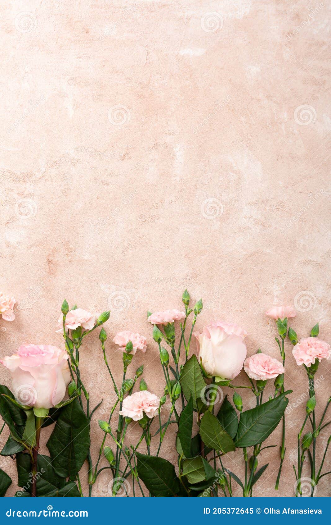 Overhead View of Pink Flowers on Light Surface, Roses Stock Image ...