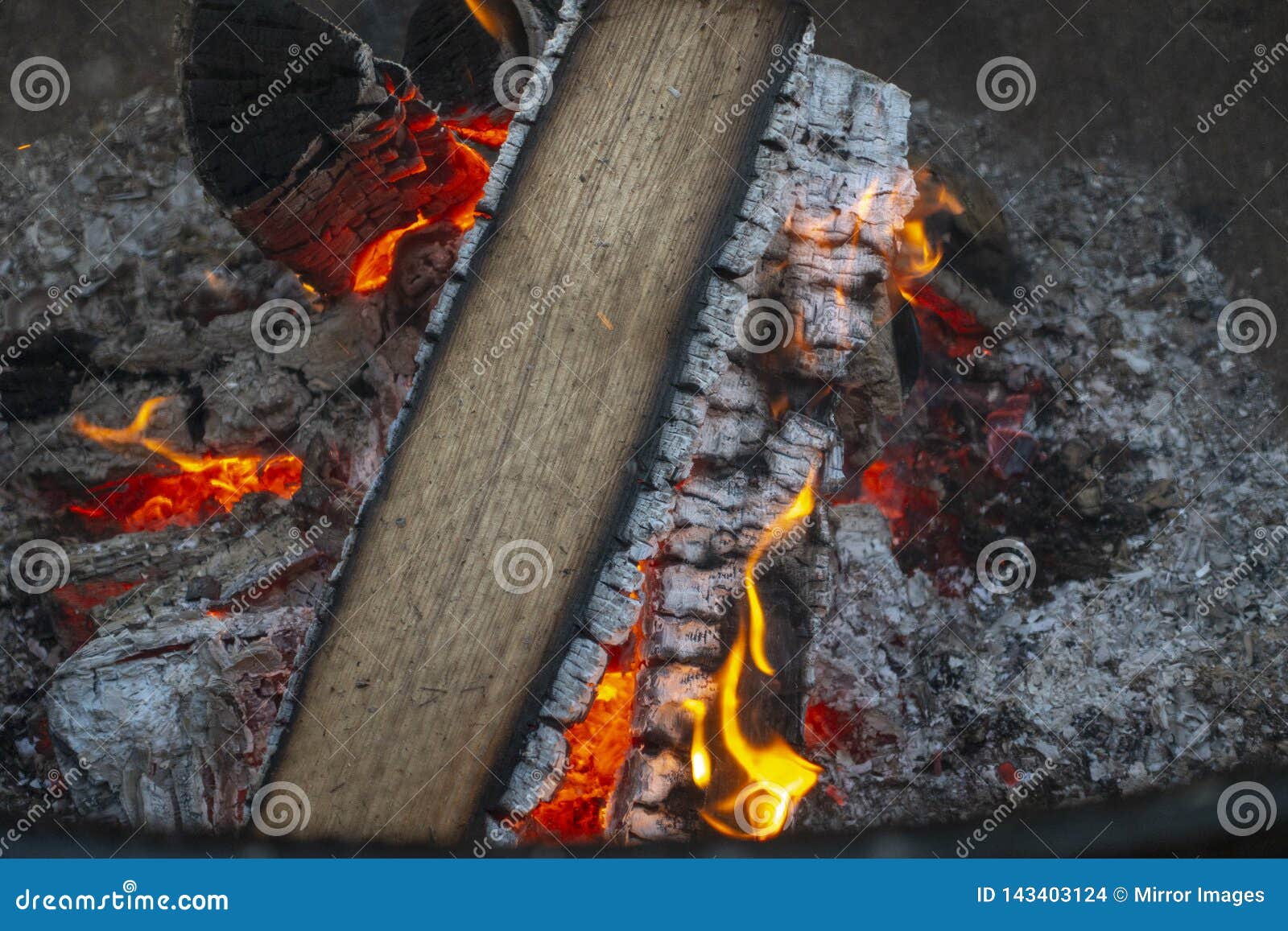 Overhead View of Red Yellow Burning Tree Wood Netted Camp Fire Stock ...