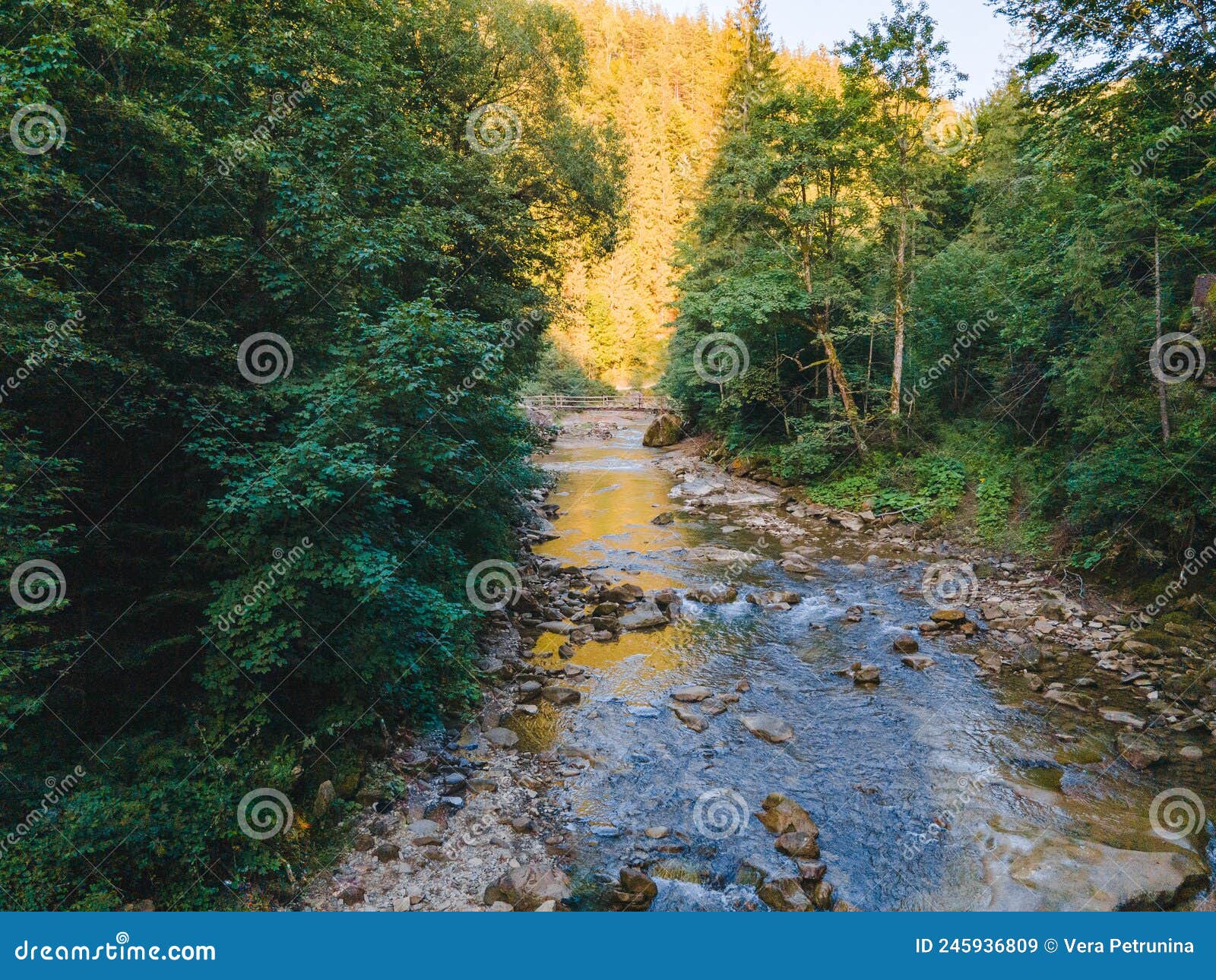 Overhead View of River in Carpathian Mountains Stock Image - Image of ...
