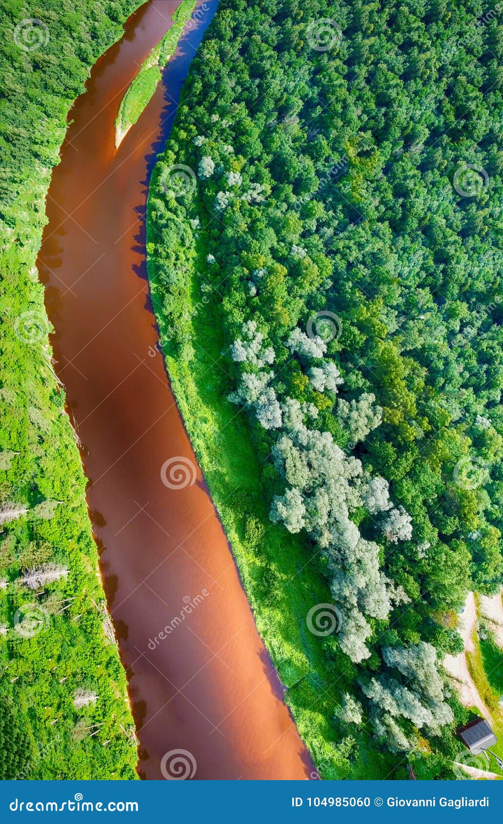 Overhead View of River Crossing Beautiful Forest Stock Photo - Image of ...