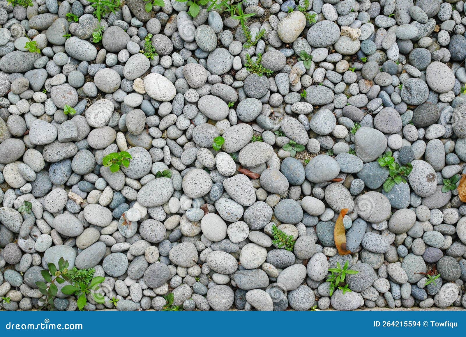 Overhead View of Round Rock Textures Stock Photo - Image of concept ...