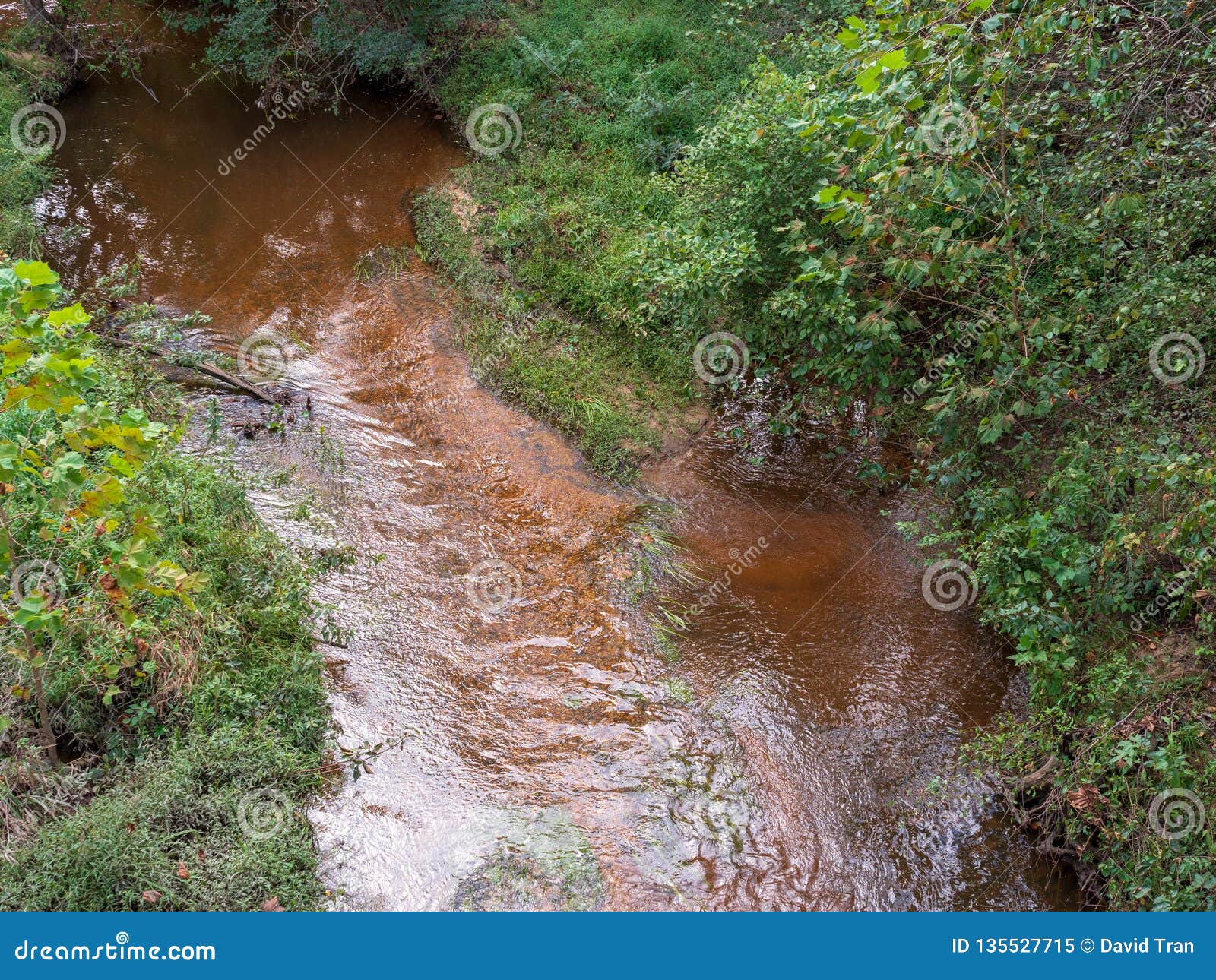 Overhead View of a Shallow Stream in the Woods Stock Image - Image of ...