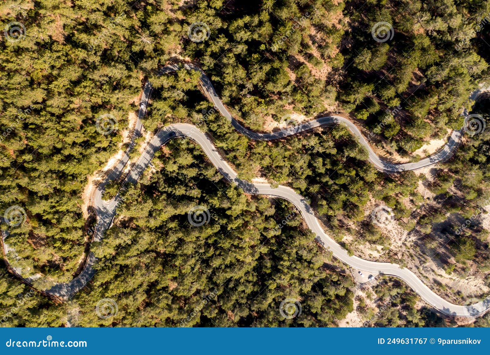 An Overhead View of a Winding Road through a Pine Forest. Stock Image ...