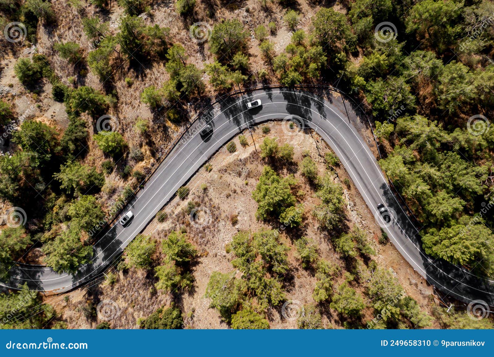 An Overhead View of a Winding Road through a Pine Forest. Stock Photo ...