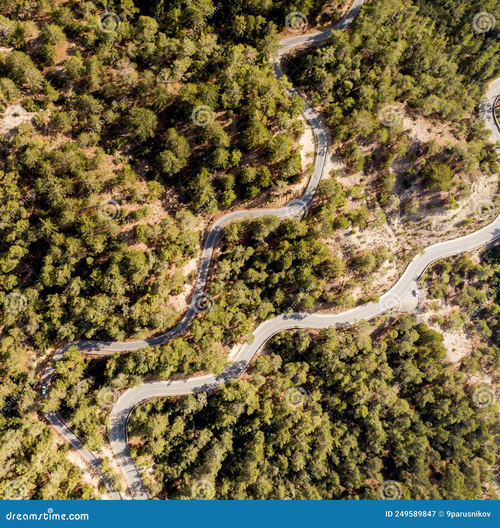 An Overhead View of a Winding Road through a Pine Forest. Stock Image ...