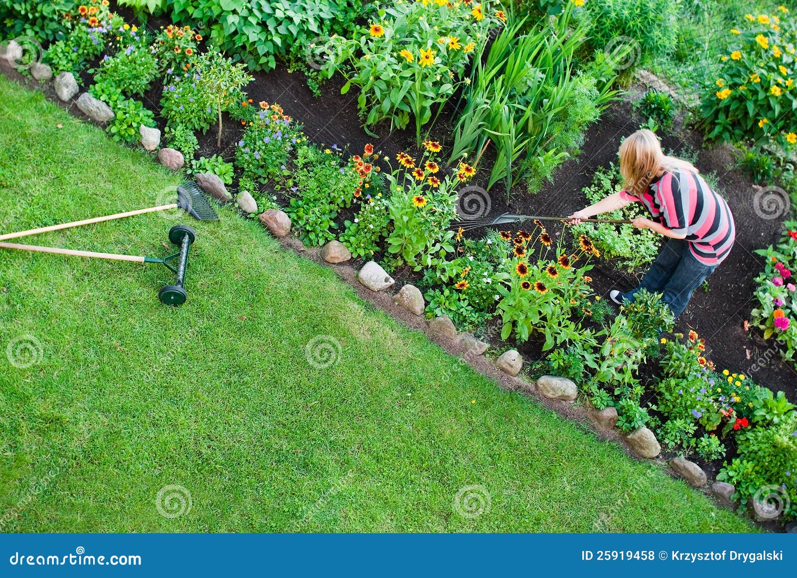 Overhead View on Women in Garden Stock Photo - Image of busy, community ...