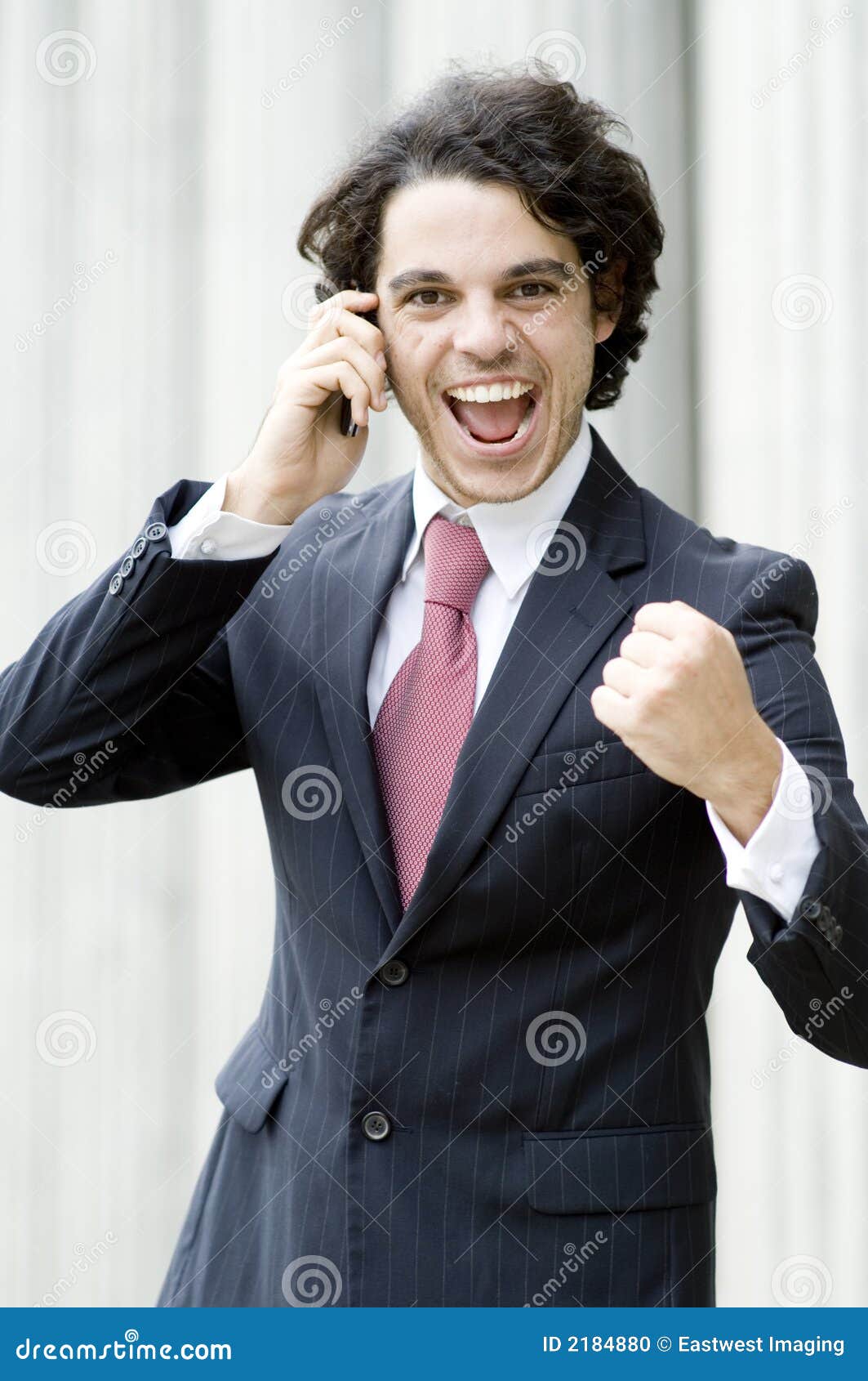 Overjoyed Businessman stock photo. Image of suit, celebration - 2184880
