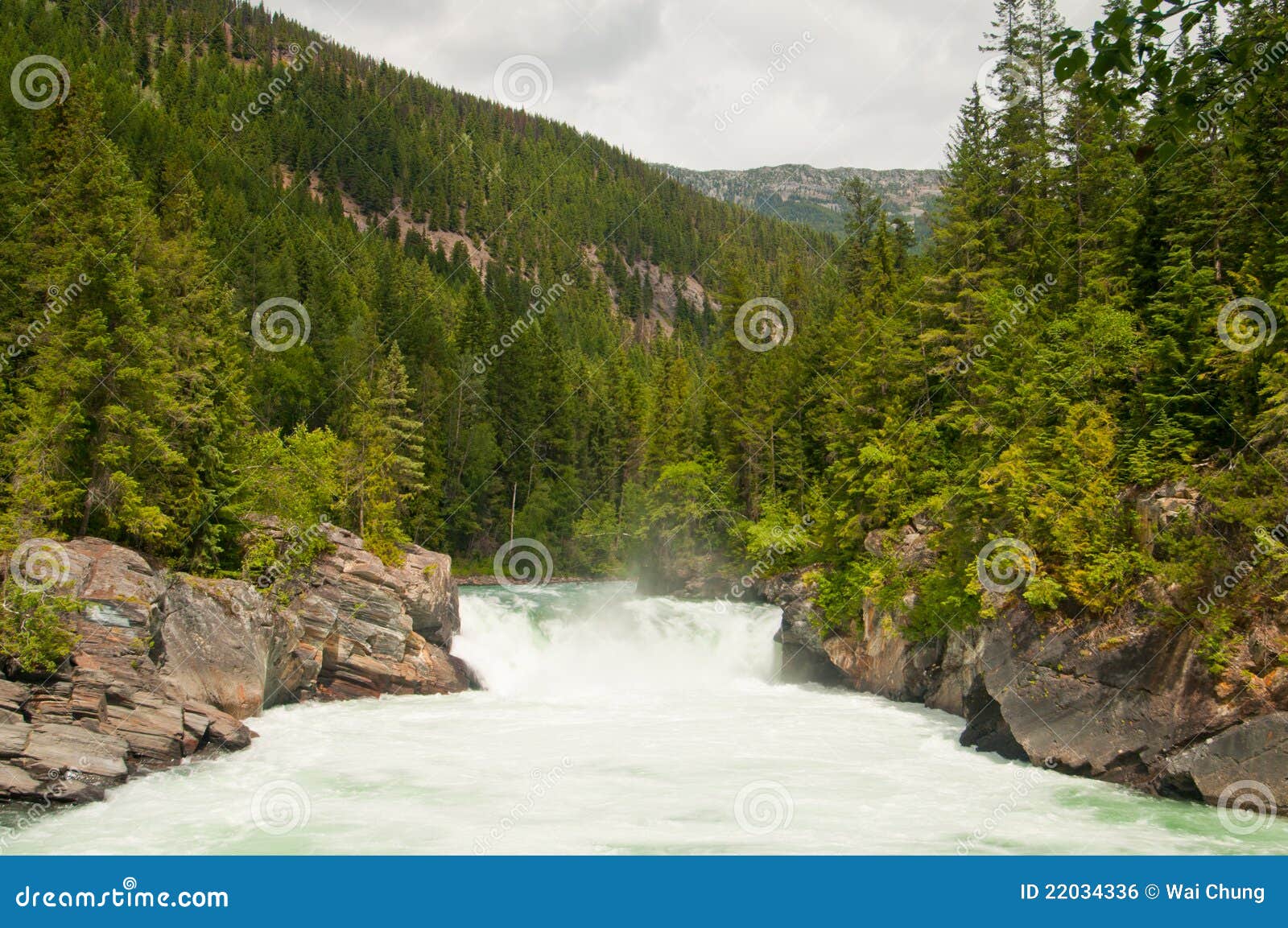 Overlander Falls stock photo. Image of green, river, plant - 22034336