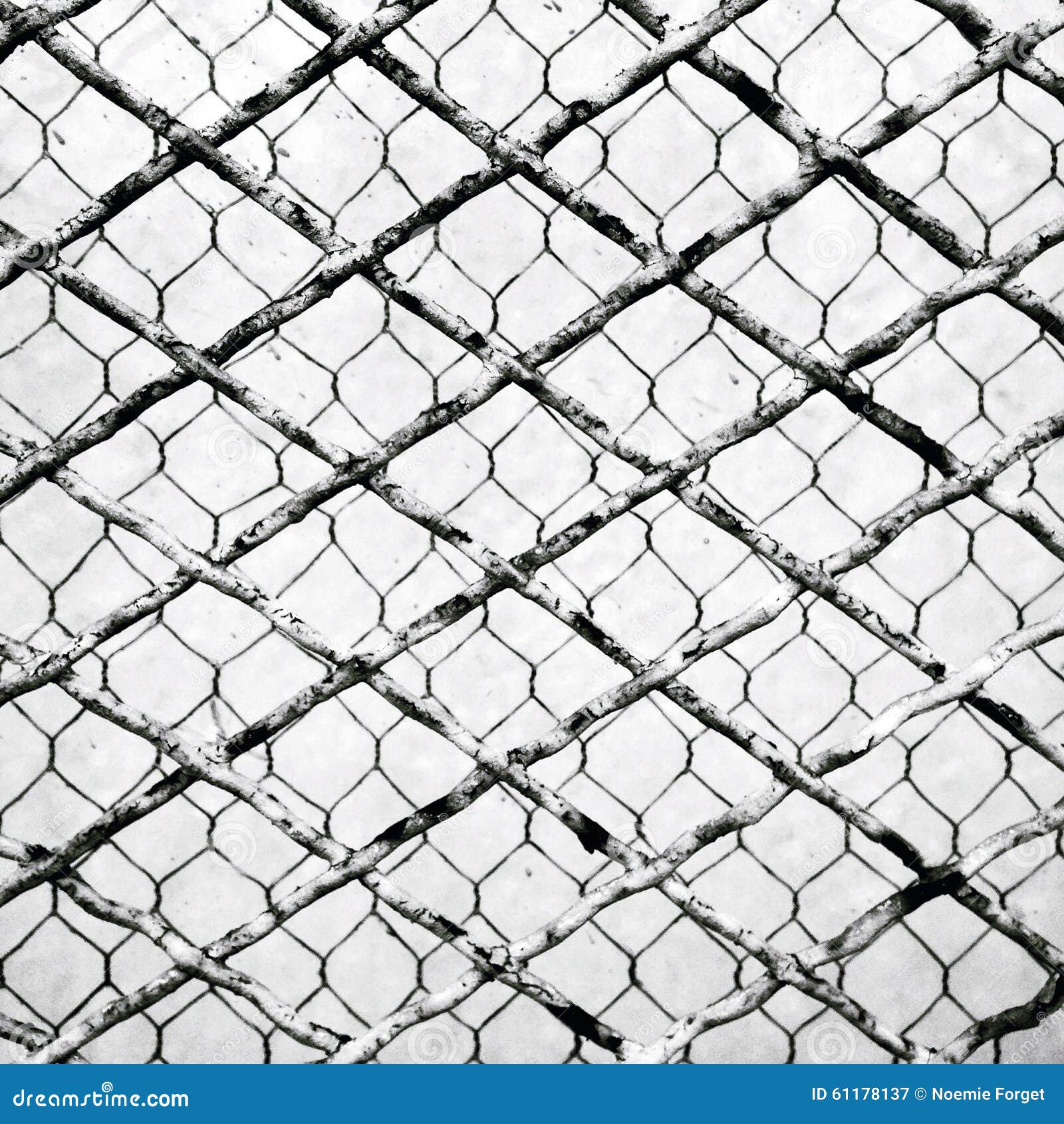 Overlapping Of Two Different Wire Netting Stock Image | CartoonDealer ...