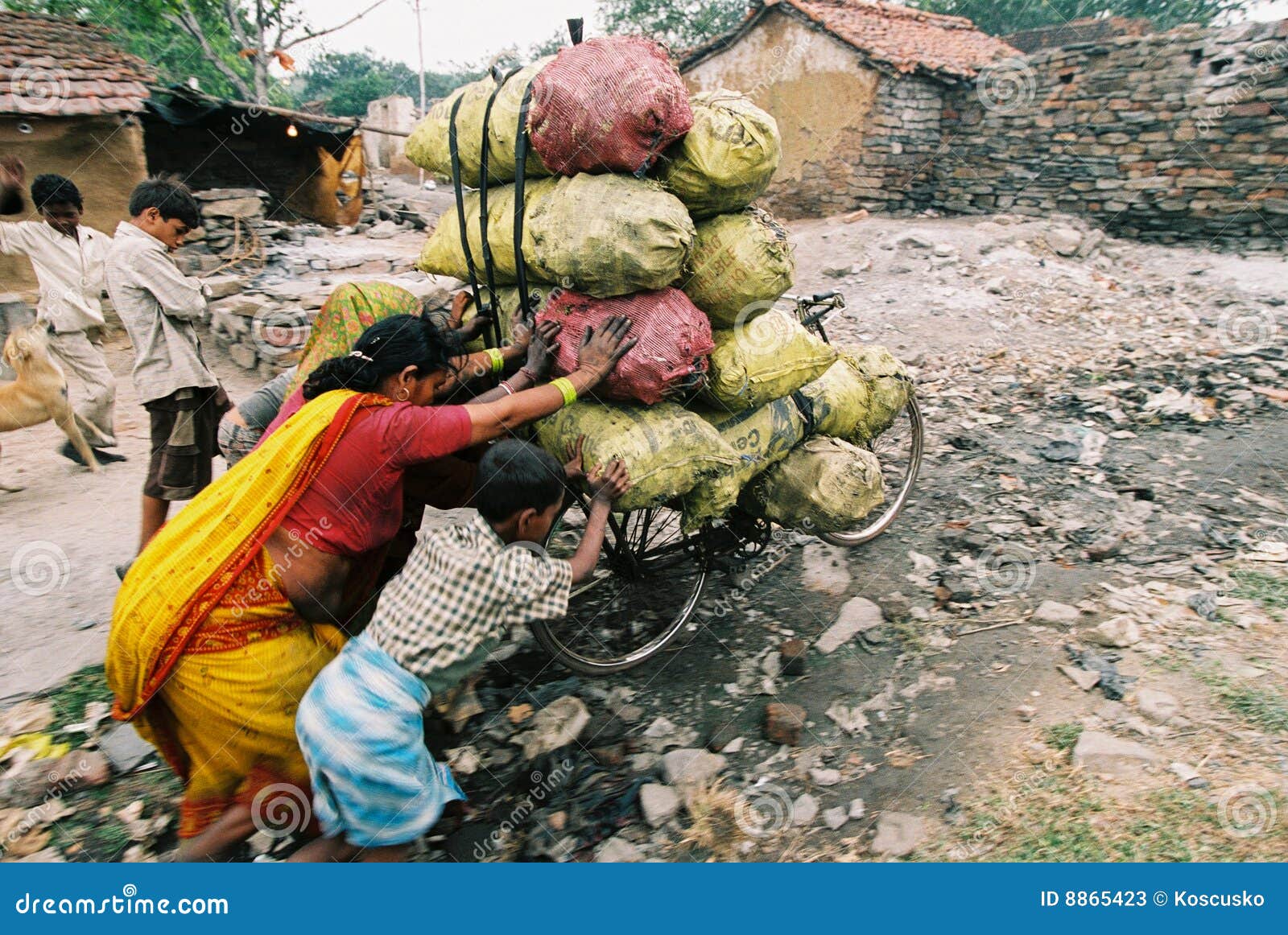 Overloaded bicycle, India editorial stock photo. Image of woman - 8865423