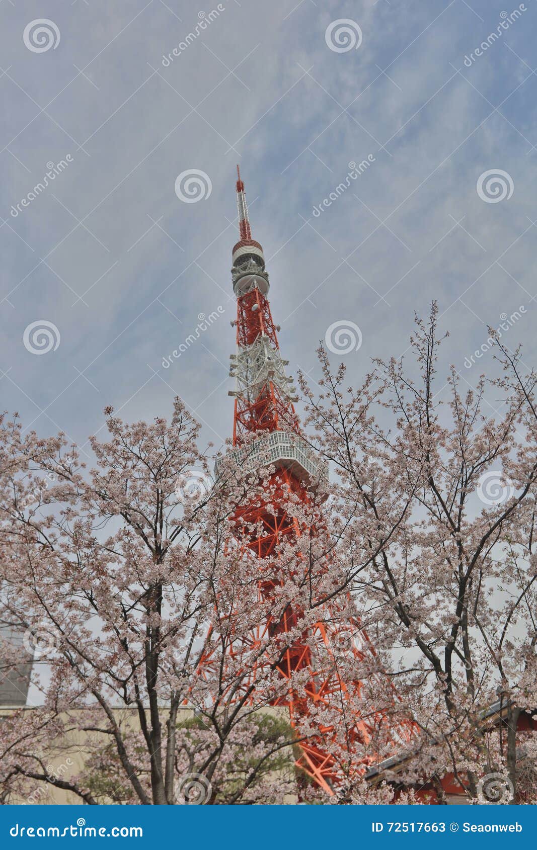 Overlook of the Tokyo Tower and Tokyo City Stock Image - Image of ...