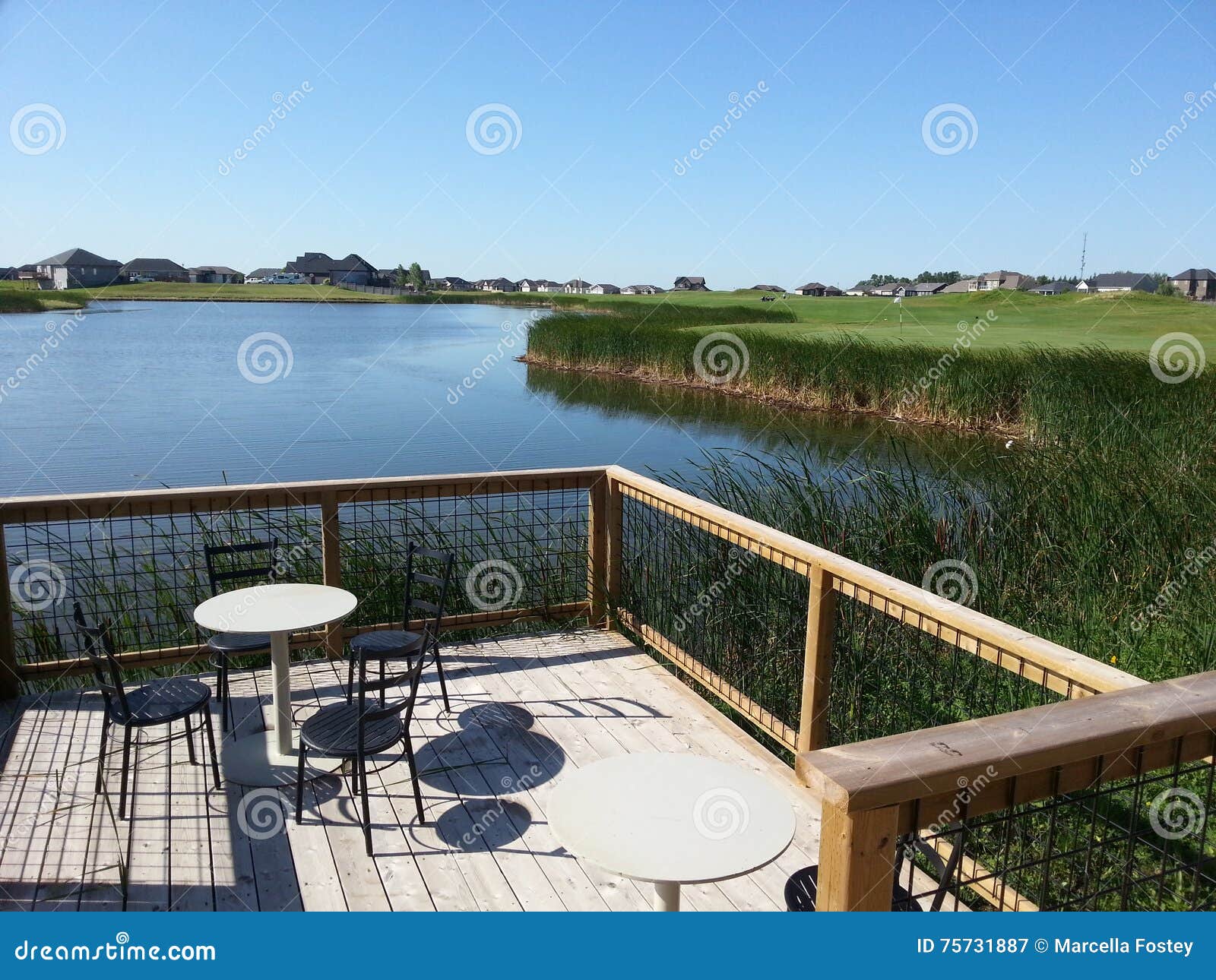 Overlooking the Golf Course from the Pro Shop Stock Image - Image of ...
