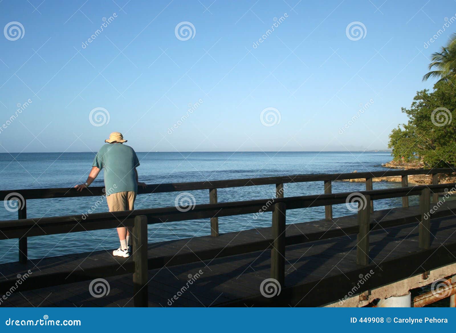 Overlooking the Ocean stock photo. Image of vacation, ocean - 449908