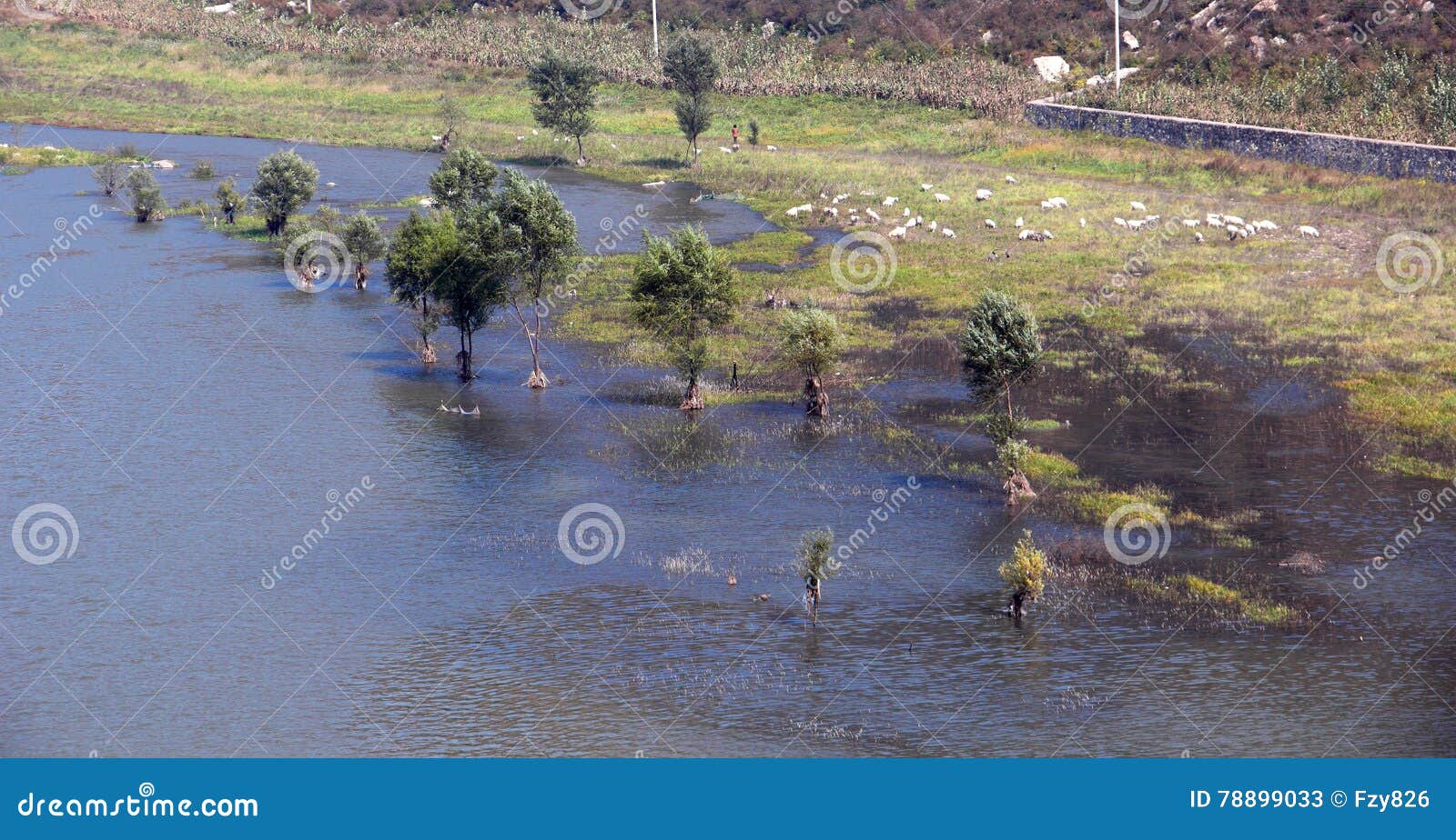 Overlooking the River Scenery Stock Image - Image of river, overlooking ...