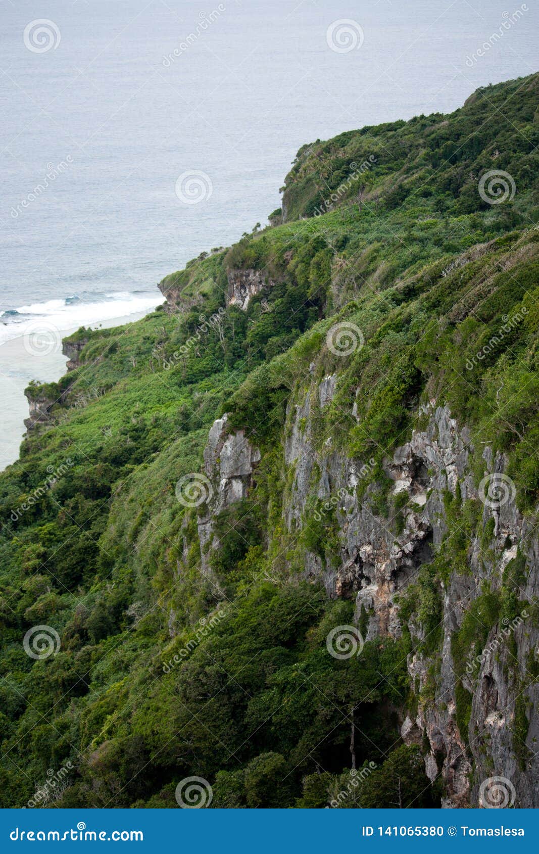 Overlooking a Rock on the Coast of Eua Island in Tonga Stock Photo ...