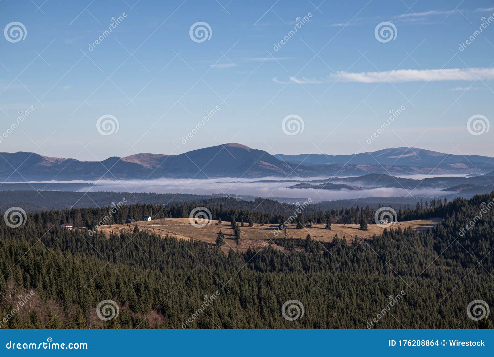 Overlooking View of Beautiful Forest Trees with Mountains in a Clear ...