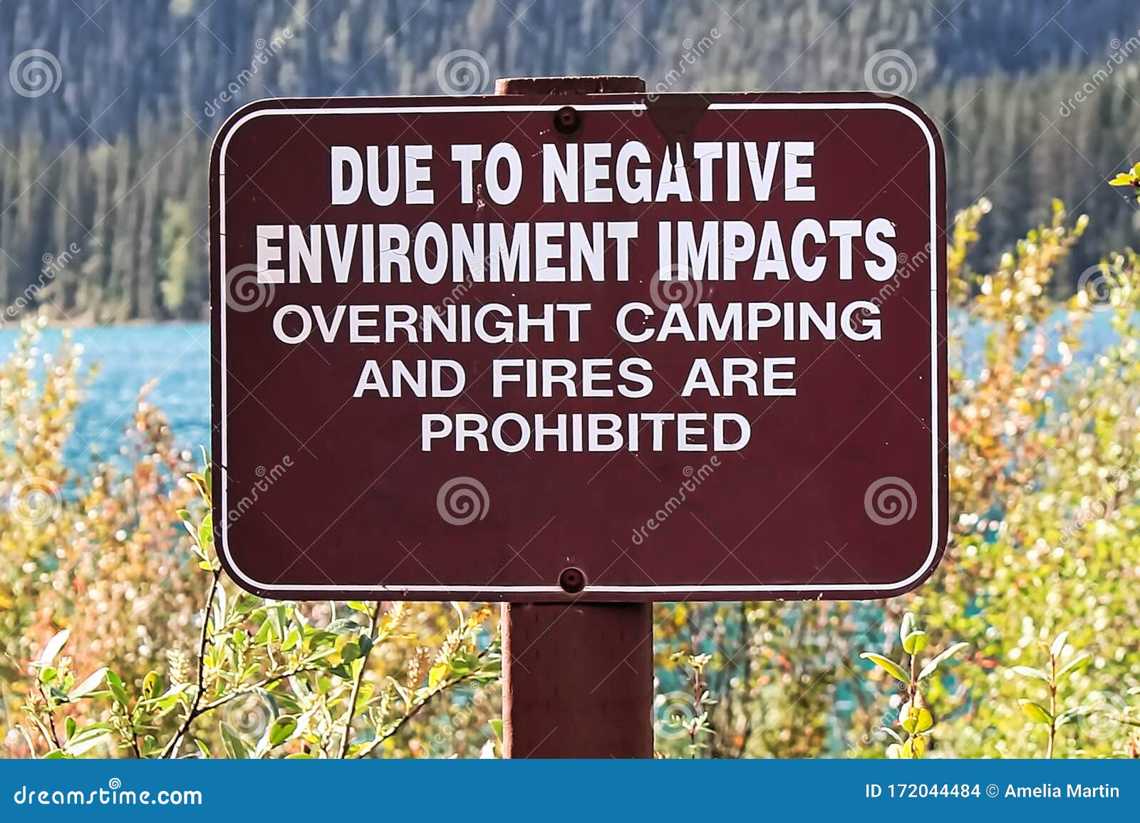 An Overnight Camping and Fires are Prohibited Sign Stock Photo - Image ...