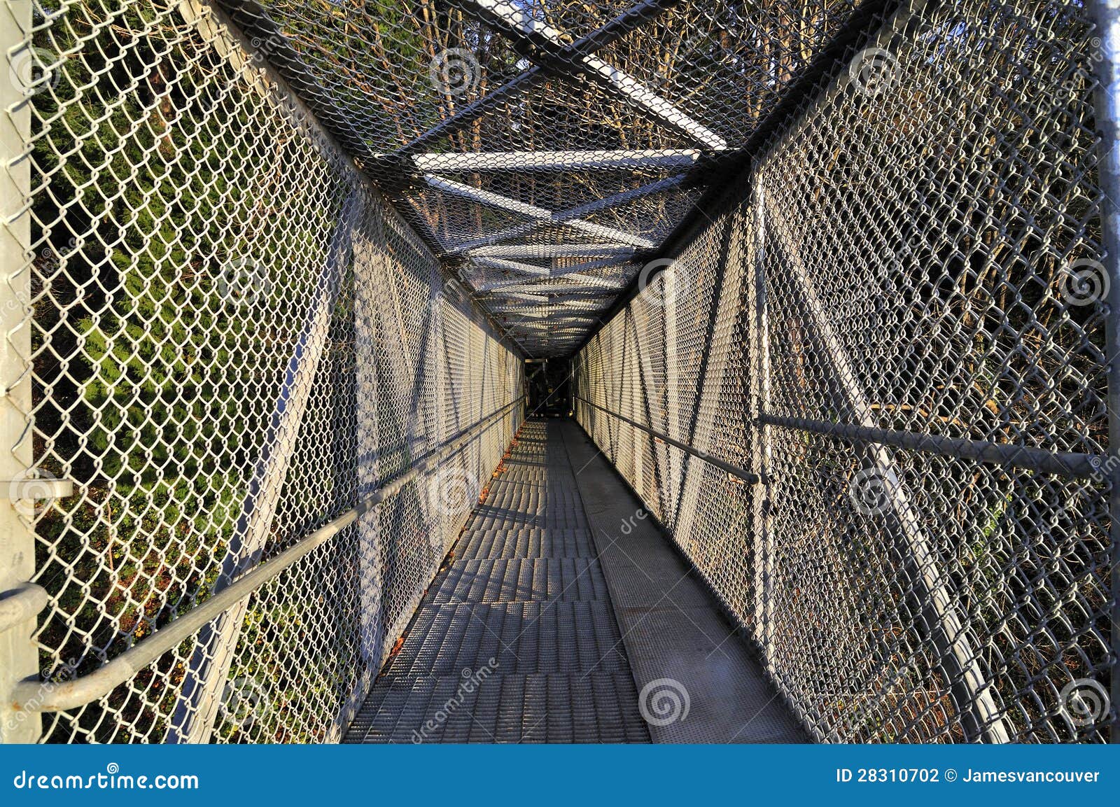 Overpass Bridge Protected by Wire Netting Stock Photo - Image of halt ...