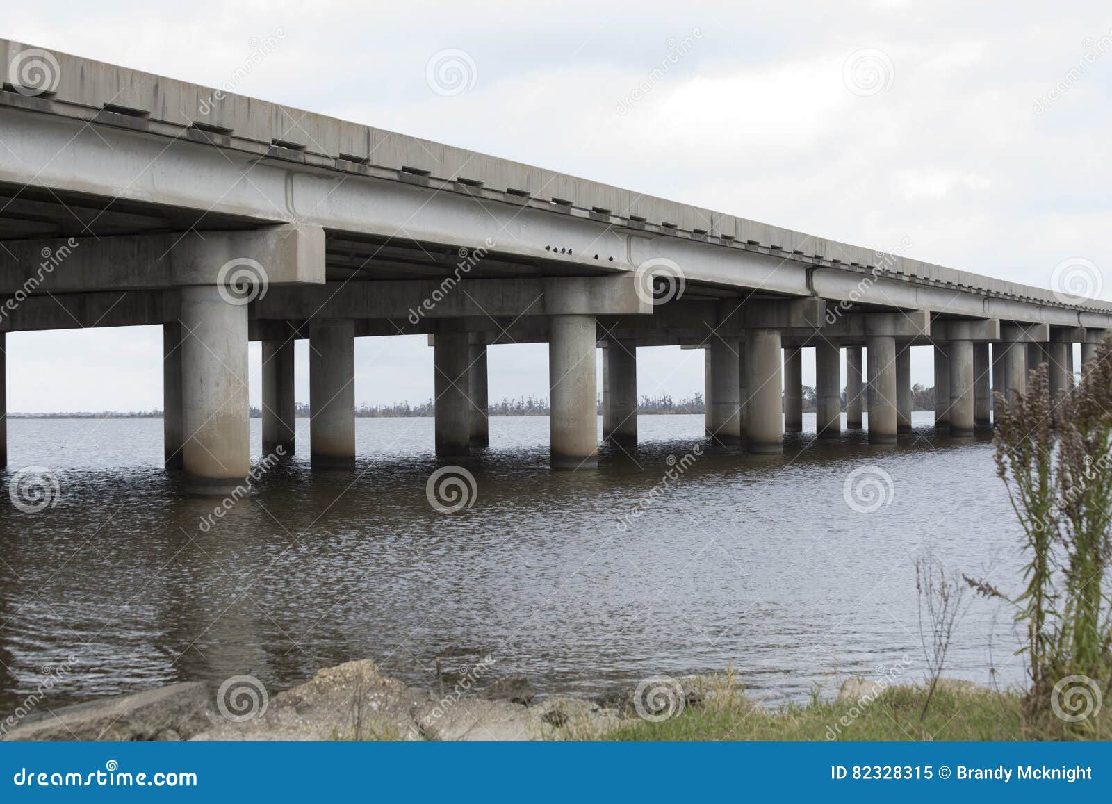 Overpass over Water stock image. Image of asphalt, nature - 82328315
