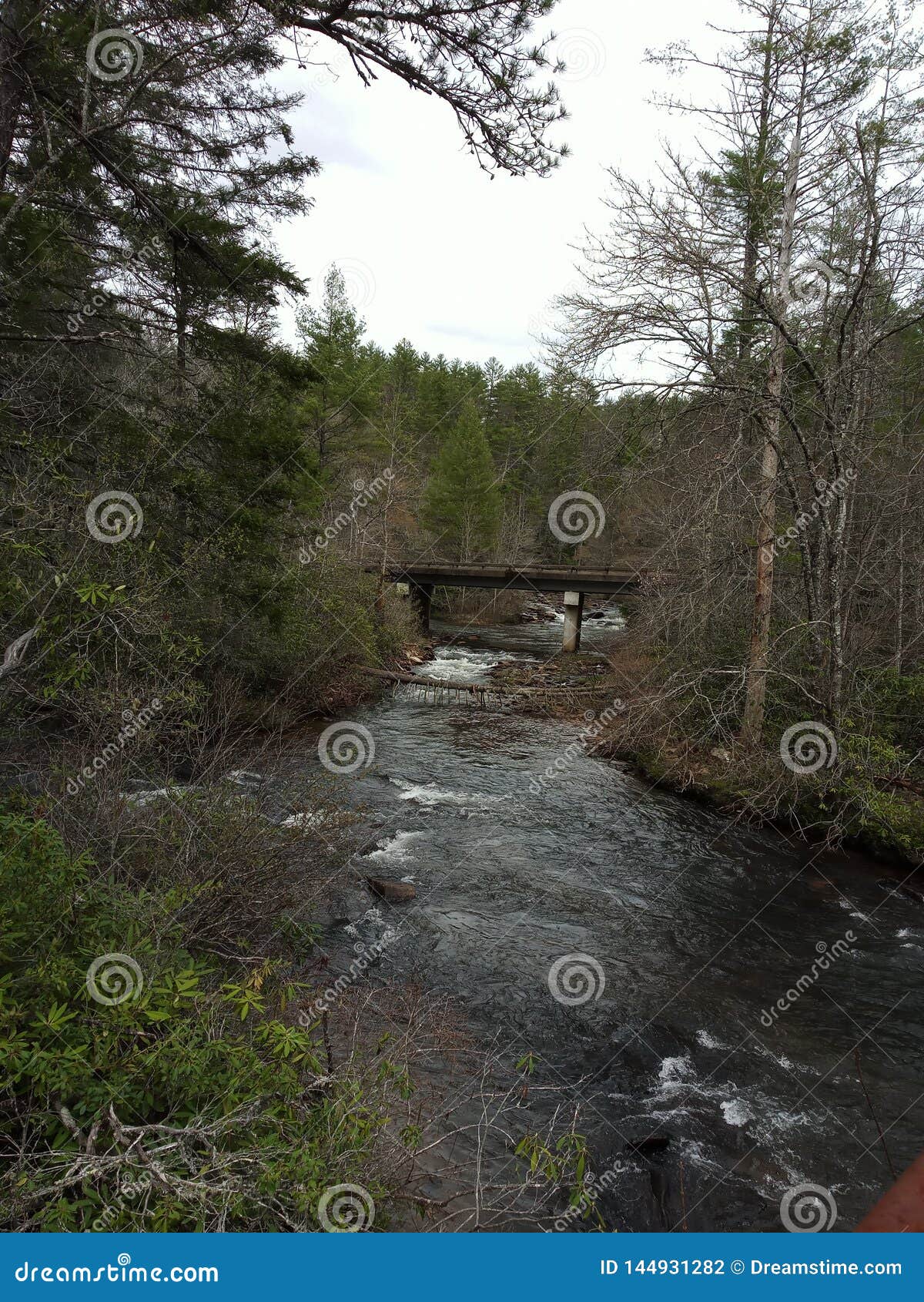 The overpass stock photo. Image of nature, bridge, river - 144931282
