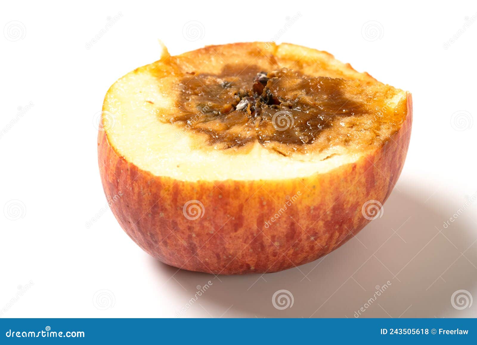 Overripe Apple with Badly Rotten Core on White Background Stock Photo ...
