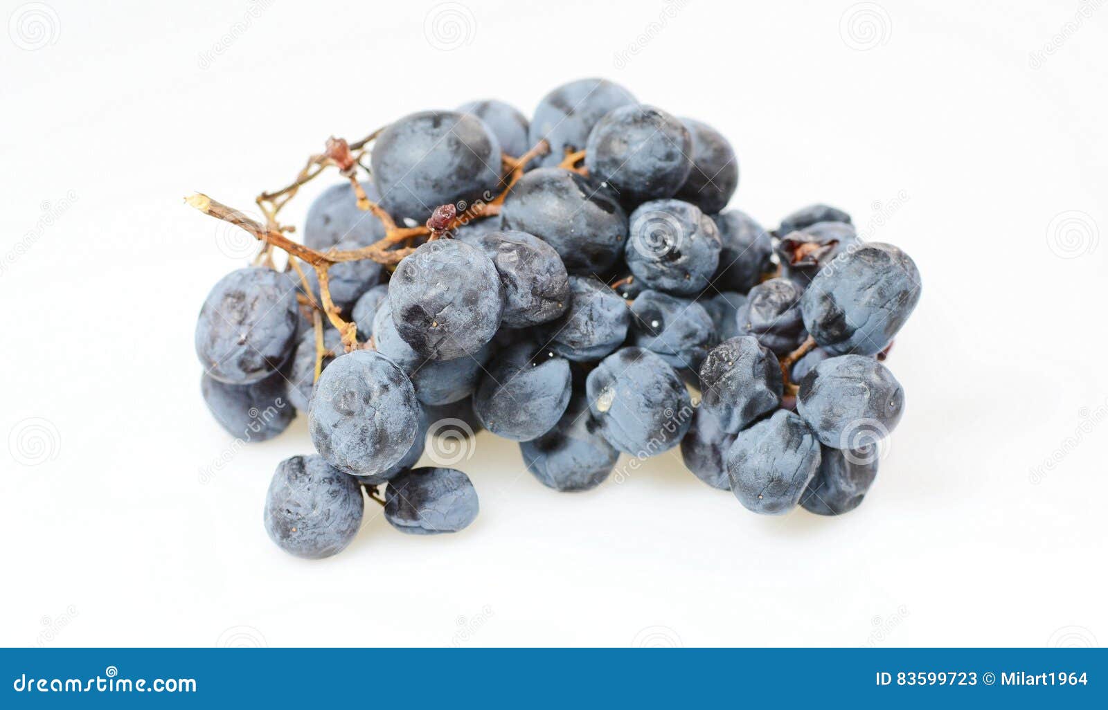 Overripe grapes stock image. Image of damn, stem, healthy - 83599723