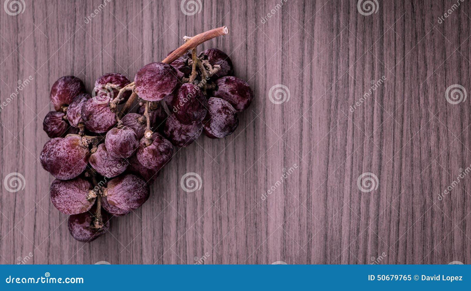 Overripe grapes stock image. Image of overripe, nutrition - 50679765
