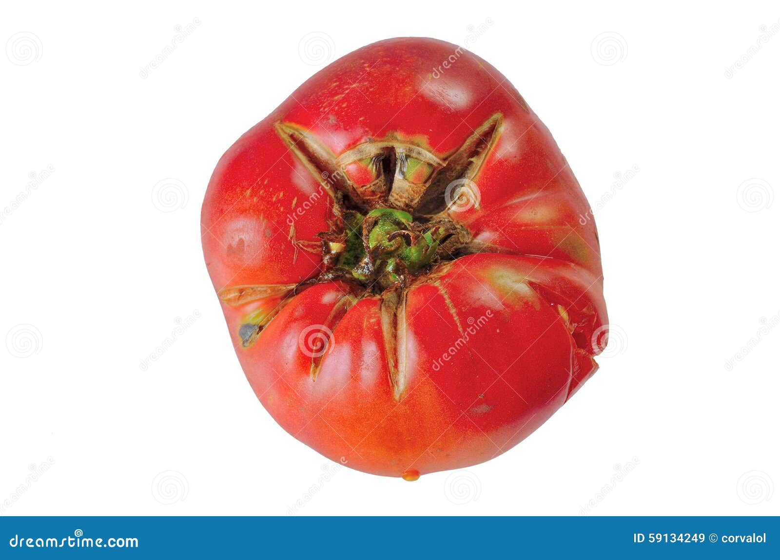 Overripe red tomato stock image. Image of sick, rotten - 59134249