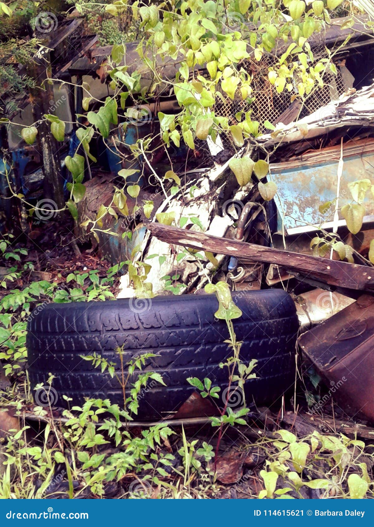 Overtaken stock image. Image of bound, nature, object - 114615621