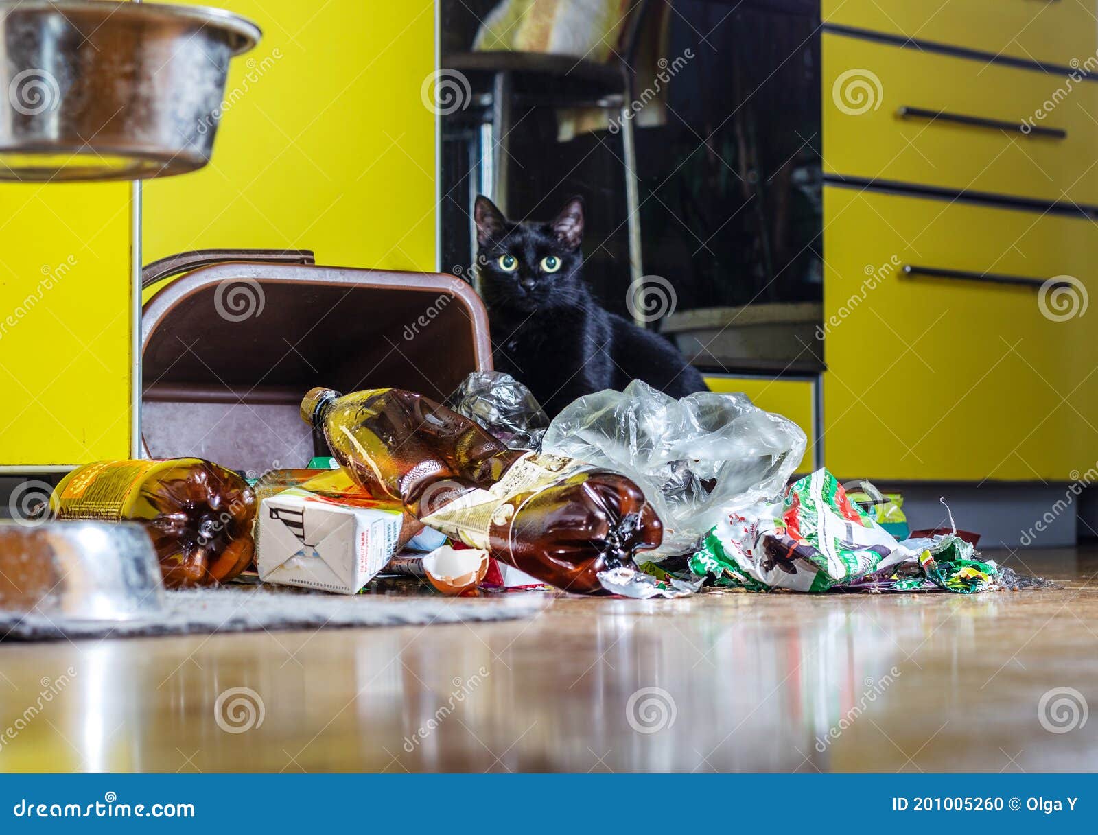 An Overturned Garbage Can and a Pile of Garbage in the Kitchen Against ...