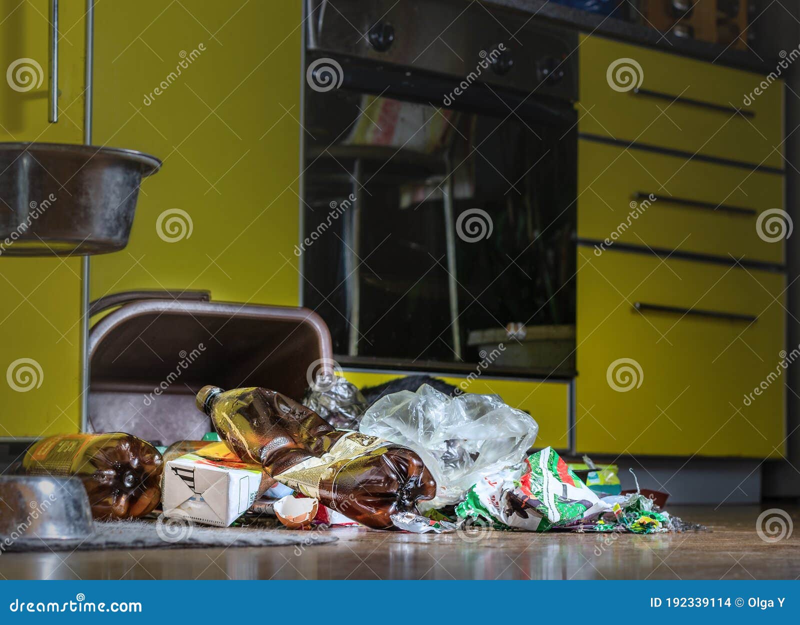 An Overturned Garbage Can and a Pile of Garbage in the Kitchen Stock ...